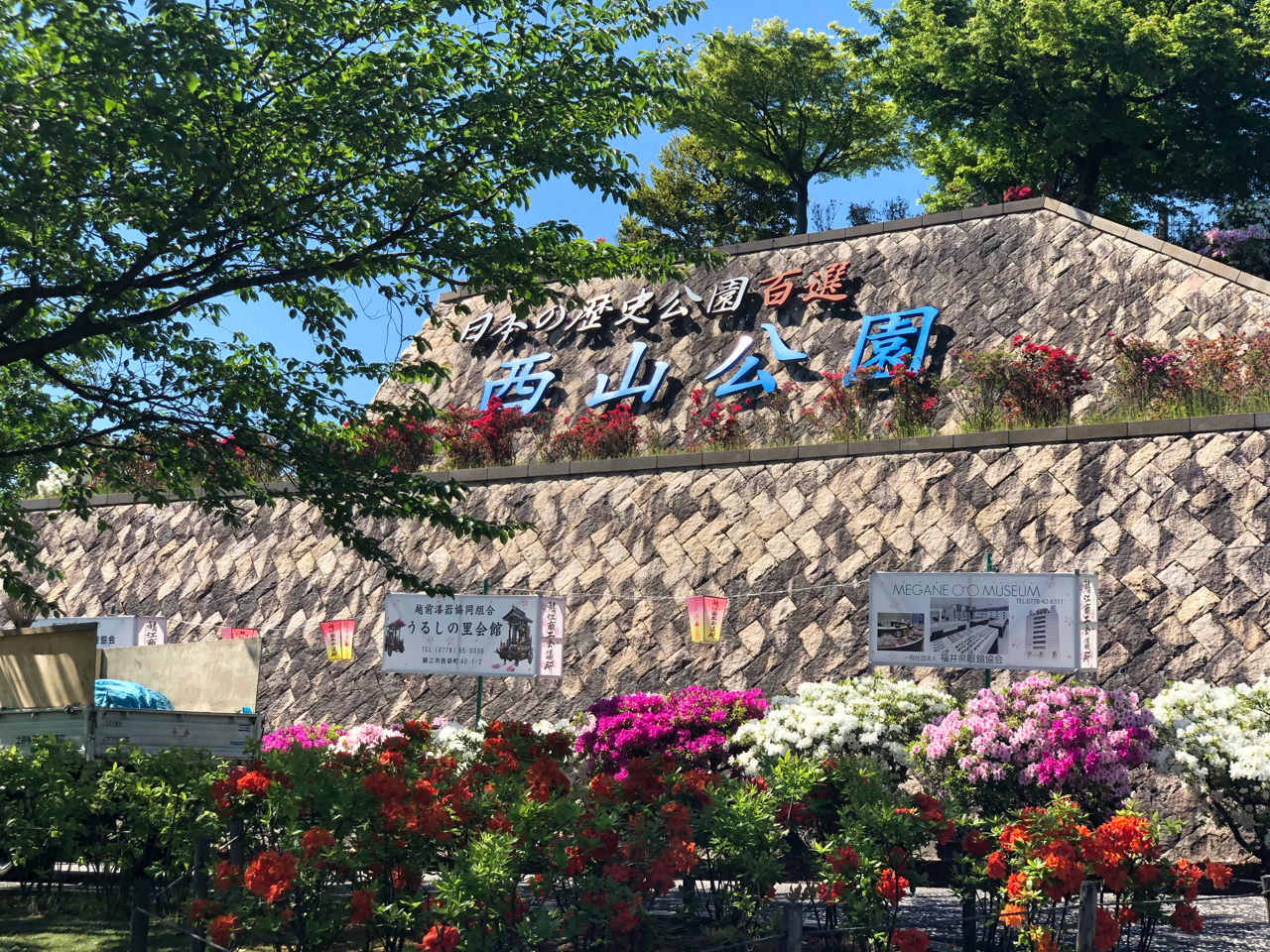 Azaleas are in full bloom in Sabae City, Fukui Prefecture! │ Awara ...